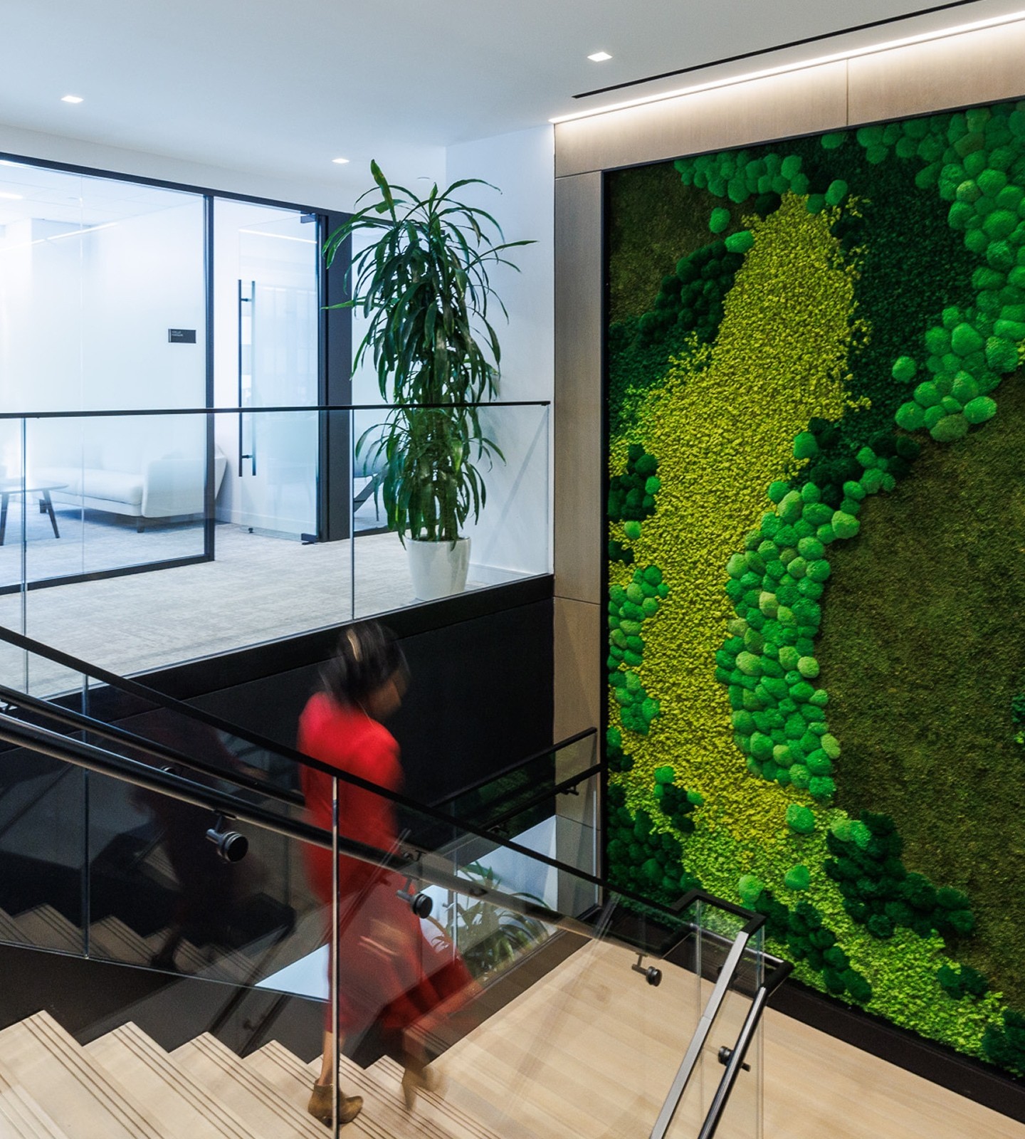 Arsenal Capital Partners